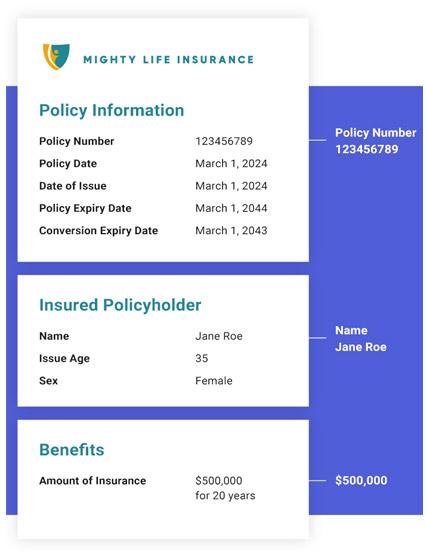 Digital Filing Cabinet | The Neat Company